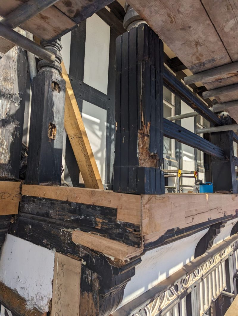 Timber Decay – Quadriga